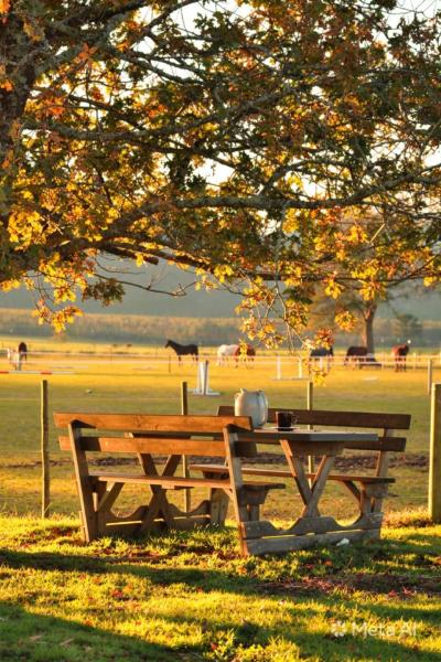 Braveheart Cottage - Knysna