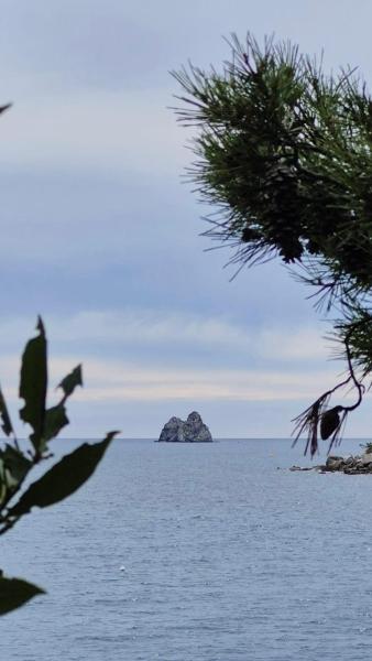Maison Familiale Avec Piscine & Jardin Clos - Toulon