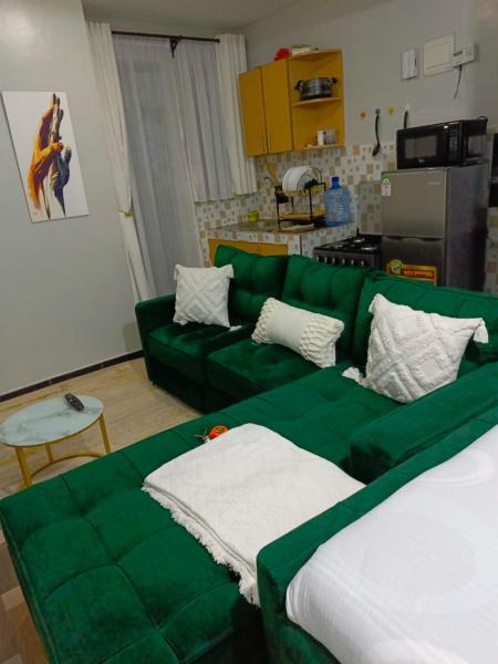 Modern And Spacious Studio With Parking Mirema - 나이로비