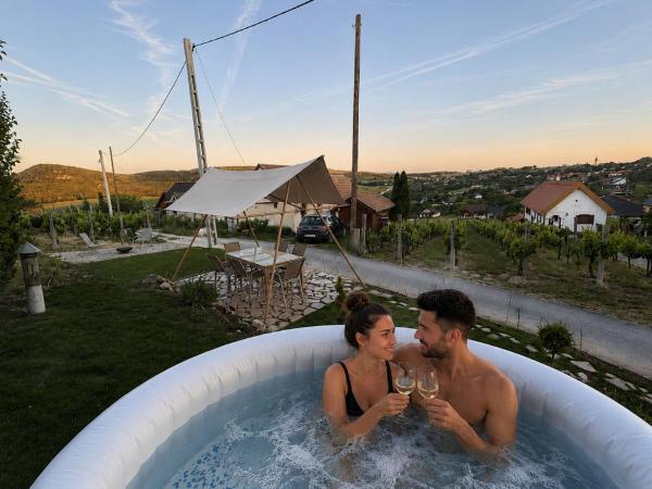 Szőlők Közt Apartman - Tata