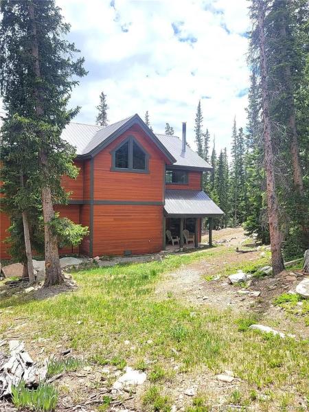 Mountain Modern 4 Bedroom Cabin On Hiking Trails - Colorado