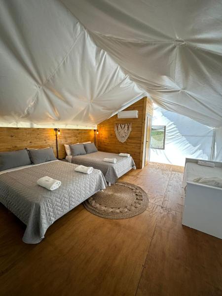 Moraycamp - Buenos Aires