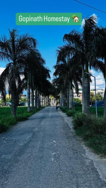 Gopinath Homestays - Dehradun