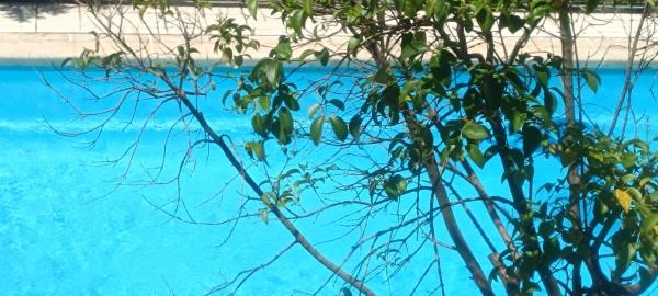 Sol De Poniente - Villamayor