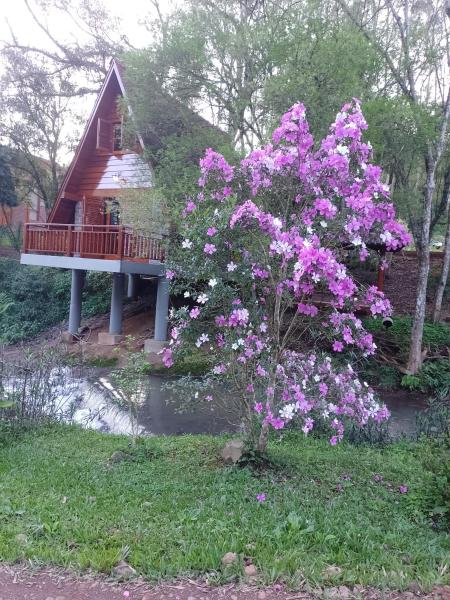 Cabanasdoaconchego - Santa Catarina (estado)