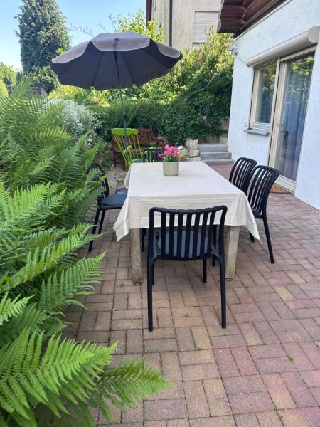 Modernes Apartment Mit Großer Terrasse - Bretten