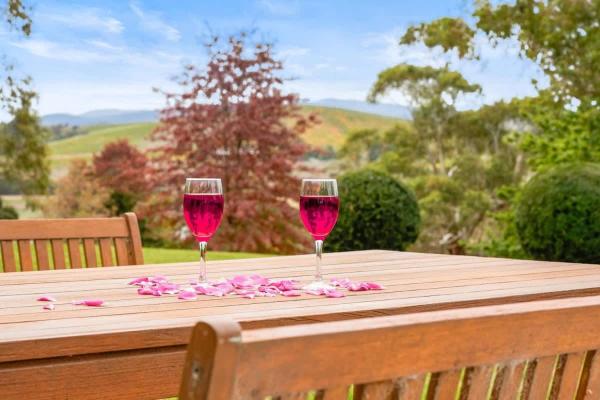 Lux Vineyard 2 Bedroom Retreat - Kinglake