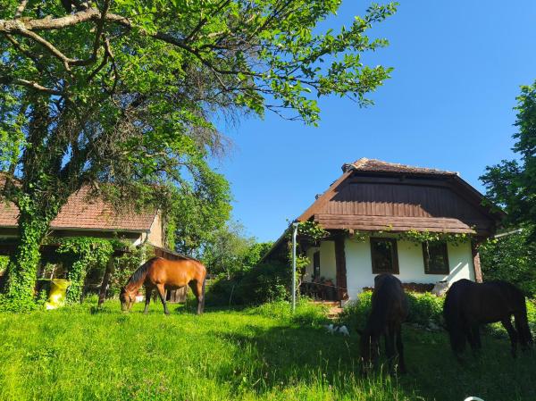 Fecskefészek Vendégház ŐRiszentpéter - Hongrie