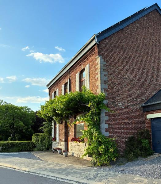 La Vigne - Han-sur-lesse - Daverdisse
