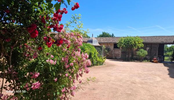 Gite à La Ferme Du Grand Coland - Mâcon