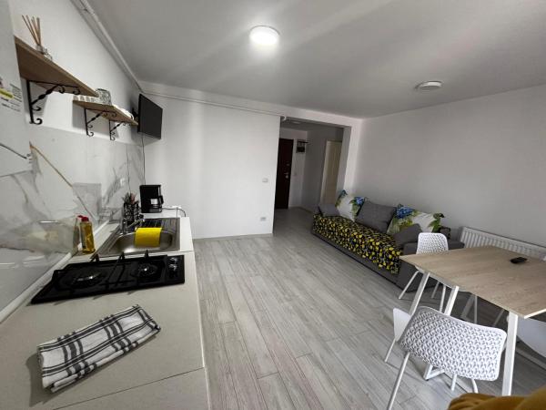 Deluxe Apartament Vatra Dornei - Dorna Candrenilor
