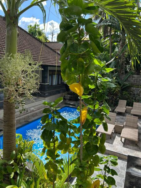Balimas Guest House - Bali