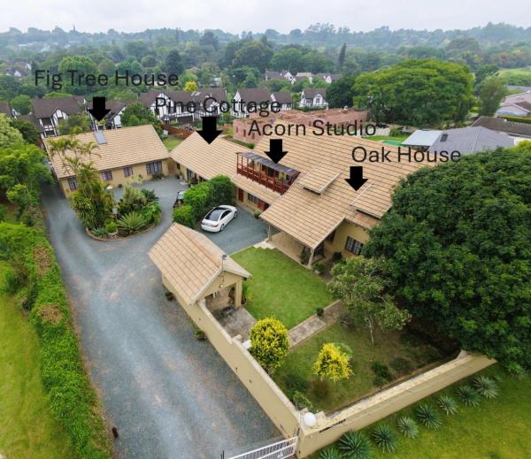 Fig Tree House Entire Holiday Home, Self Catering, 4 Bedroom, 2 Bathroom, Deck And Garden - Kloof