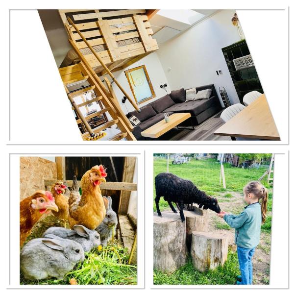 Ferienwohnung Hofglück Im Großen Garten - Bad Saarow