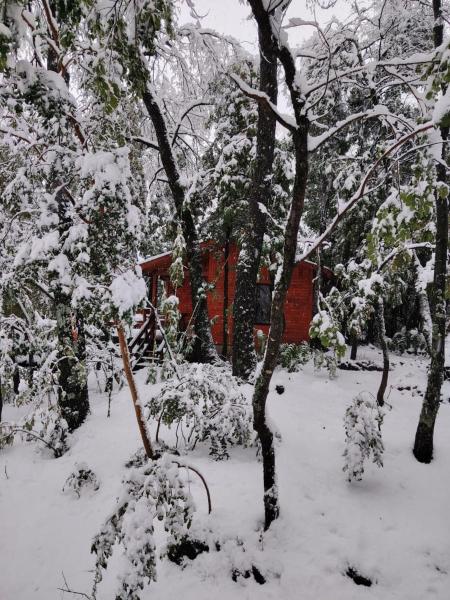 Cabañas Tía Marce, Los Lleuques - Provincia de Neuquén