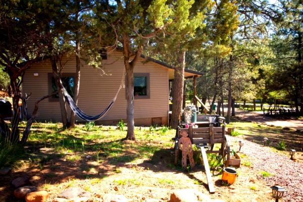 Peaceful Pine Place Cabin - Pine, AZ
