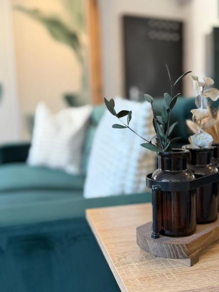 Le Cosy Green - Centre-ville - Marckolsheim