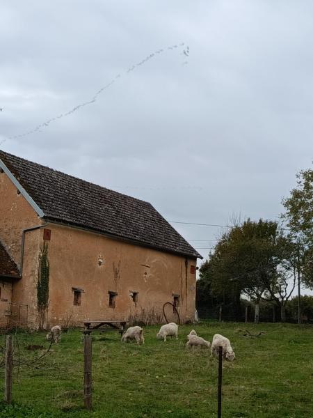 La Fermette De Vrinette - Saint-Fargeau
