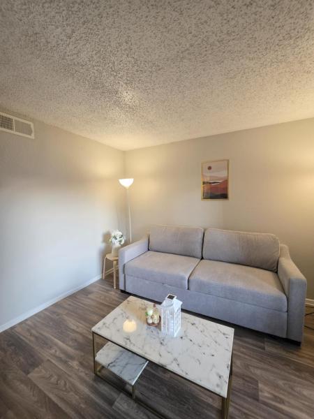 Modern 1bhk Near Fifa Dallas Stadium & Arlington - Includes "Free" Stadium Drop-off - Bedford, TX