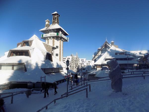 Apartment Sofia-konaci - Kopaonik