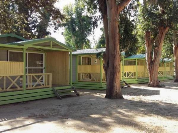 Chalet Climatisé Avec Animaux - 5 Pers. - Api-1-52-2696 - Balagne