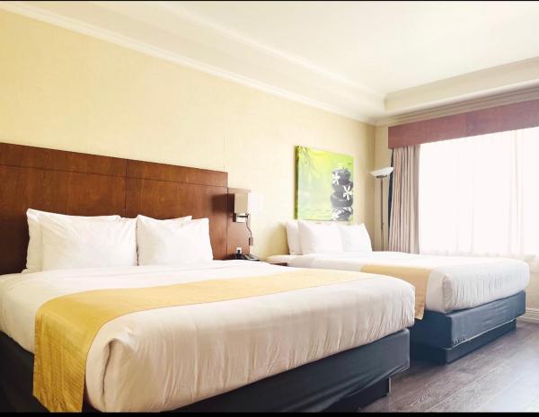 Hotel & Suites Le Dauphin Drummondville - Drummondville