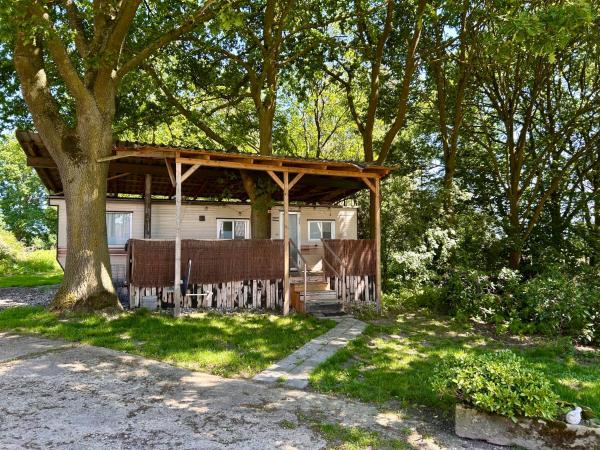 Hofquartier Greven - Altenberge