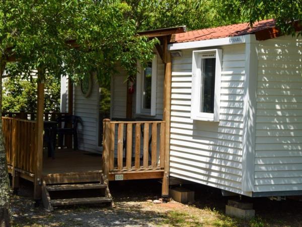 Mobil Home Clim - Animaux Admis - 6 Pers. - Api-1-52-2315 - Berrias-et-Casteljau