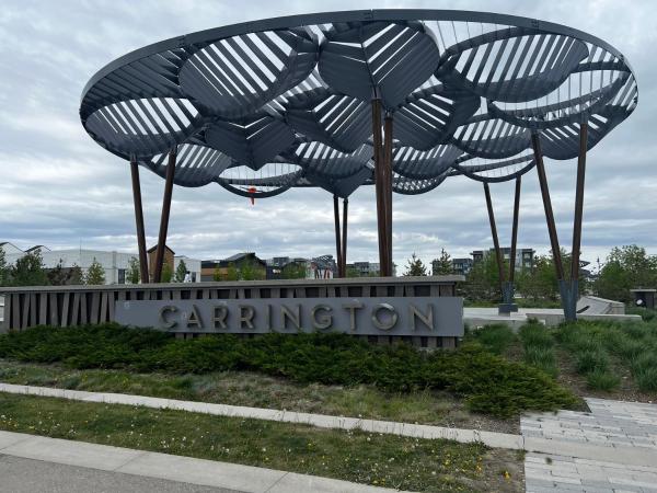 Cozy Private Basement Suite With Separate Entrance - Calgary