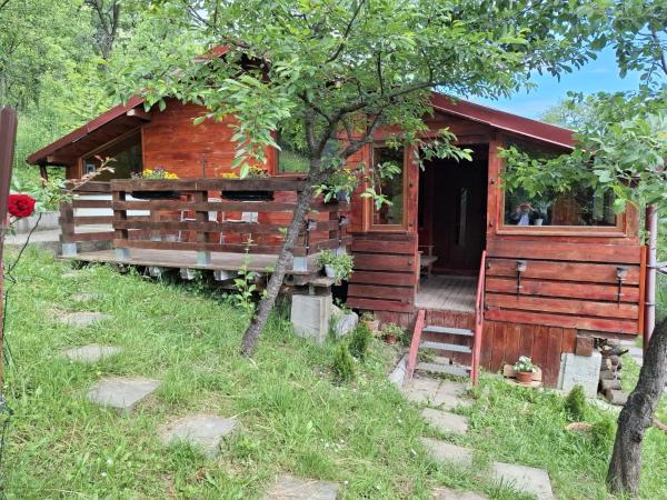 Cabana Trenulețelor - Telega