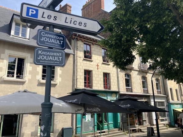Rennes Au Coeur Des Lices - Cesson-Sévigné