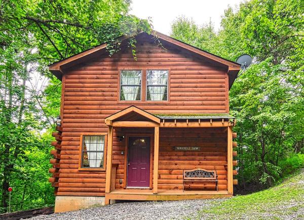 Private Loft Cabin | Hot Tub · Arcade · King Bed - Blue Ridge Mountains