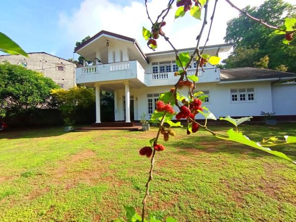 Vivyaana House - Mirissa
