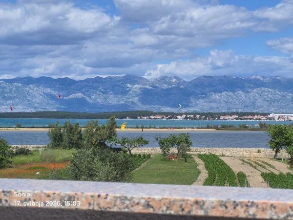 Apartman Sonia - Vrsi