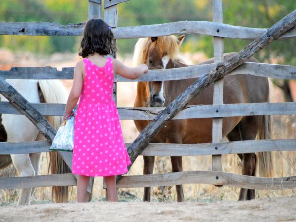 Agroturismo Finca Son Sala - Mallorca