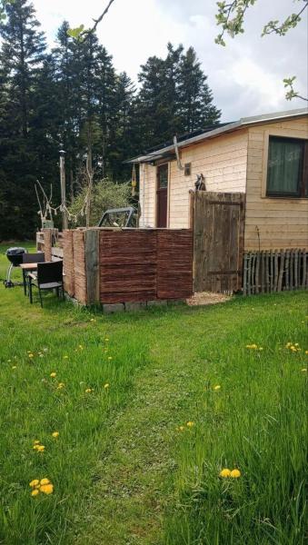 Tiny House Schwarzwald - Hot Tub & Sauna - Bade-Wurtemberg