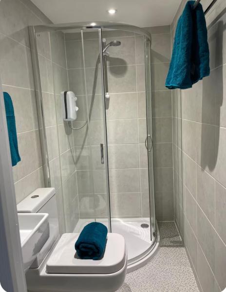 Luxury Southsea Garden Flat With Parking, Close To Beach, Pet Friendly, Work Ready - Havant