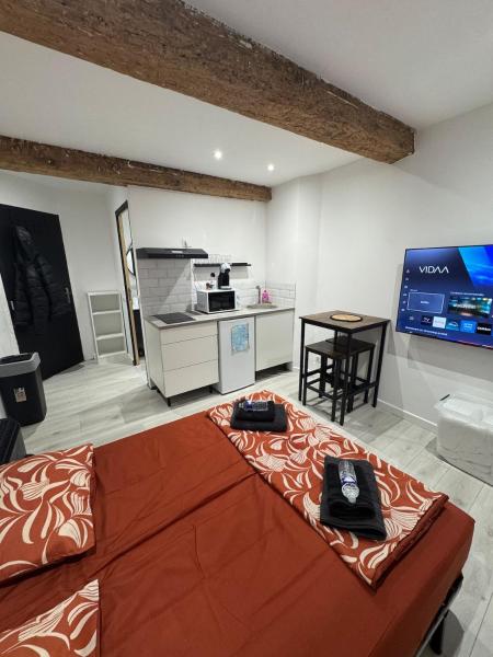 Les Perles De Limoux -Studio Centre Wifi Parking Gratuit - Limoux