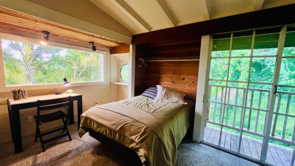 Ha'alani Oceanview Tropical Paradise - Hawaii