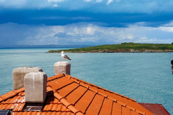Къща за гости Сирената - Sozopol