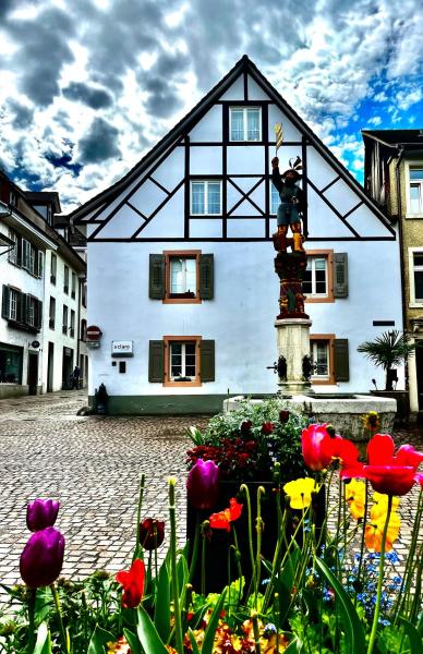 Charmante Stilvolle Wohnung In Schöner Altstadt - Lörrach