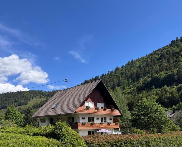 Geißentalblick Menzenschwand Ruhe, Natur & Infrarot - Menzenschwand