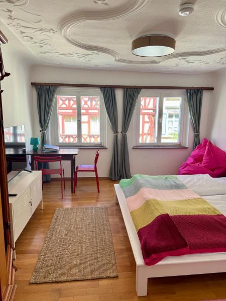 Altstadt - Gemütliches Stuckzimmer Mit Badezimmer Und Küche - Konstanz