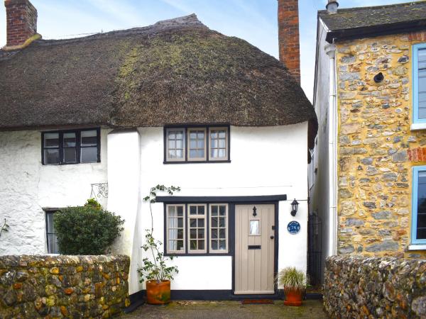 Little Hog Cottage - Seaton