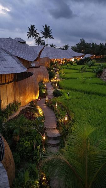 Green Lander Ubud - Ubud