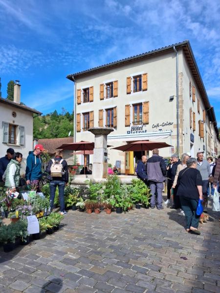 Hôtel Bistrot Les Tanins - Romans-sur-Isère