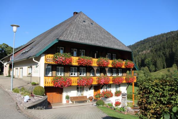 Ferienwohnung Talblick - Schopfheim