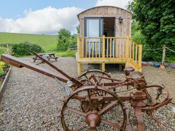 The Hut - Lampeter