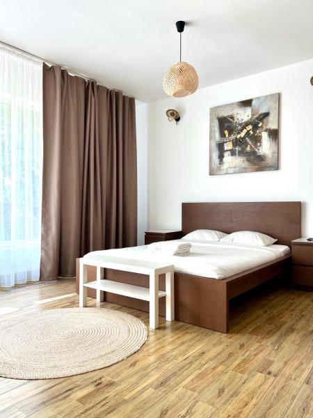Central Loft Studio Târgoviște - Târgoviște
