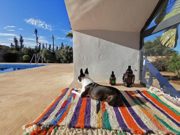 Villa Alexandra Nomade - Essaouira